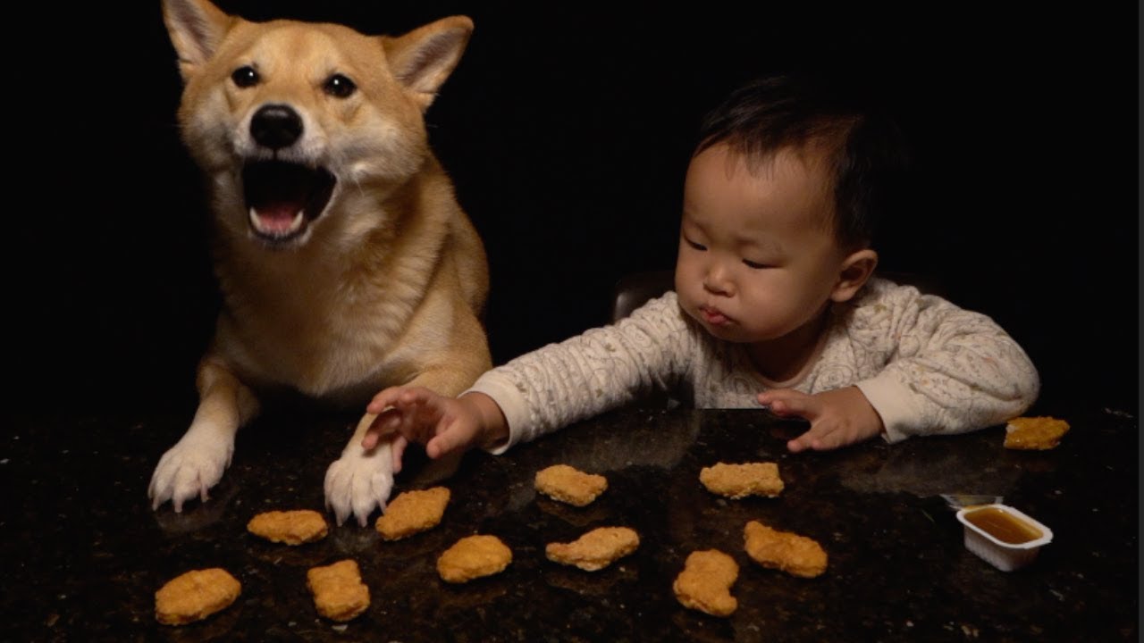 A Very Serious Chicken Nugget Mukbang. - YouTube