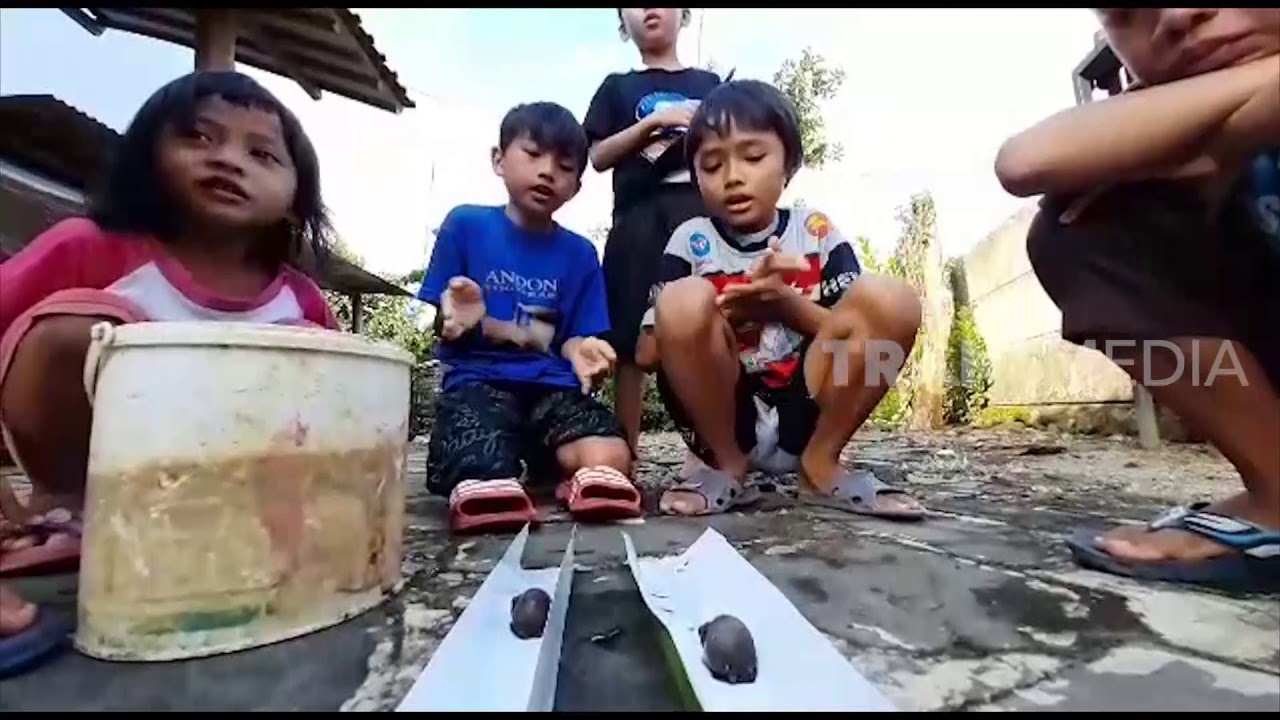 Balap Keong di Tengah Pandemi | REDAKSI PAGI (12/06/20) - YouTube