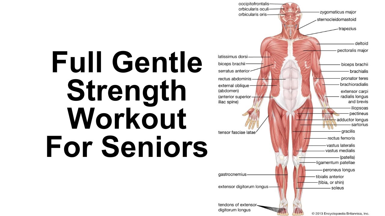 My Full Gentle Strength Workout Tutorial at Home with NO GYM EQUIPMENT ...