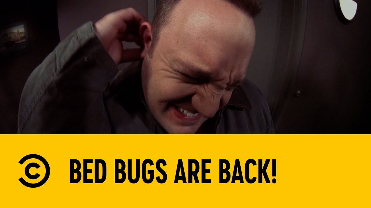 Bed Bugs Are Back! | The King Of Queens | Comedy Central Africa - YouTube