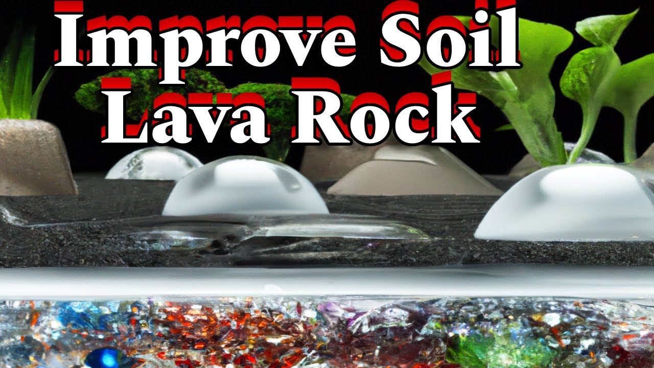 Grow a Thriving Garden with Lava Rock and Soil - YouTube