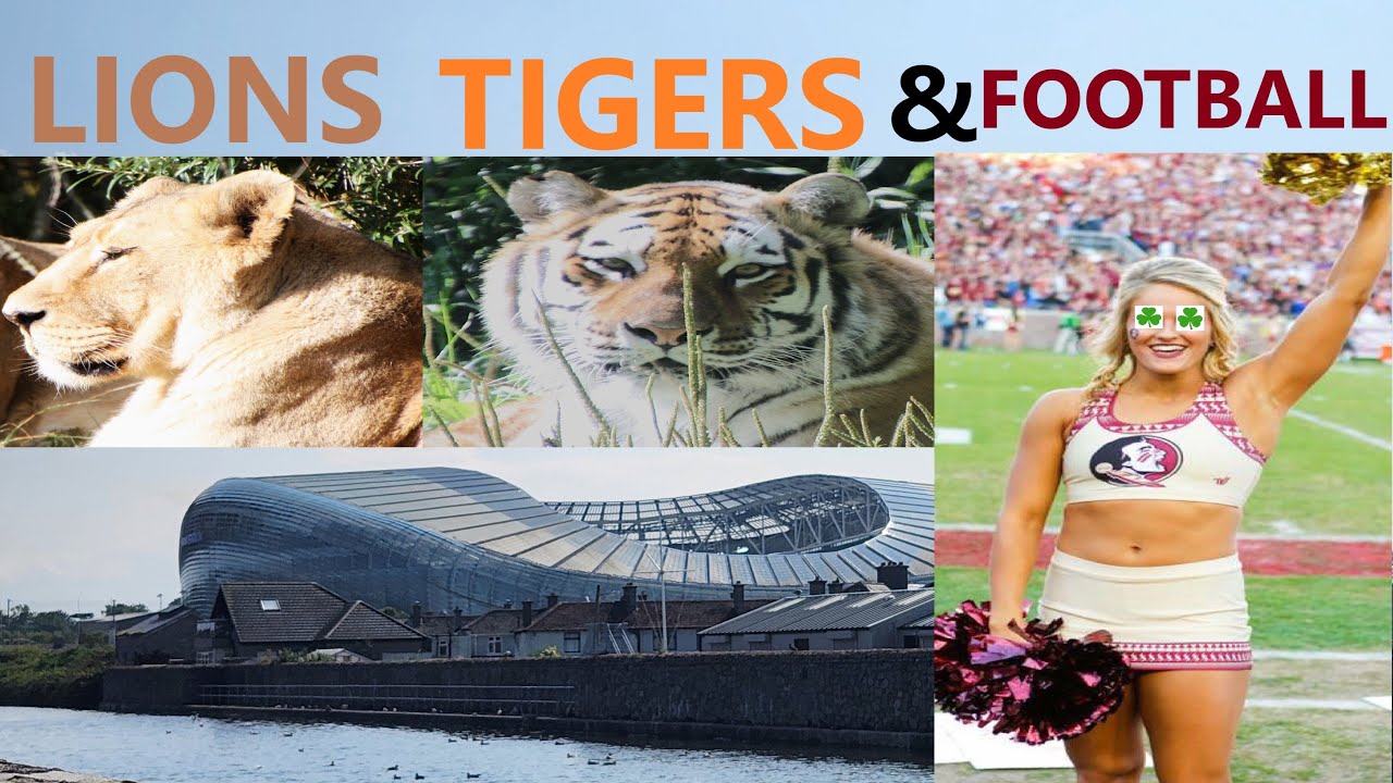 LIONS TIGERS and FOOTBALL! | FSU in Ireland. - YouTube