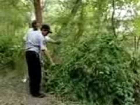 Azeri polisi super emeliyyat tetbiqat bashinda