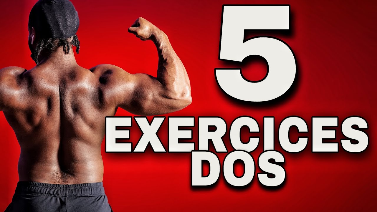 5 EXERCICES DOS HALTERES ! - YouTube