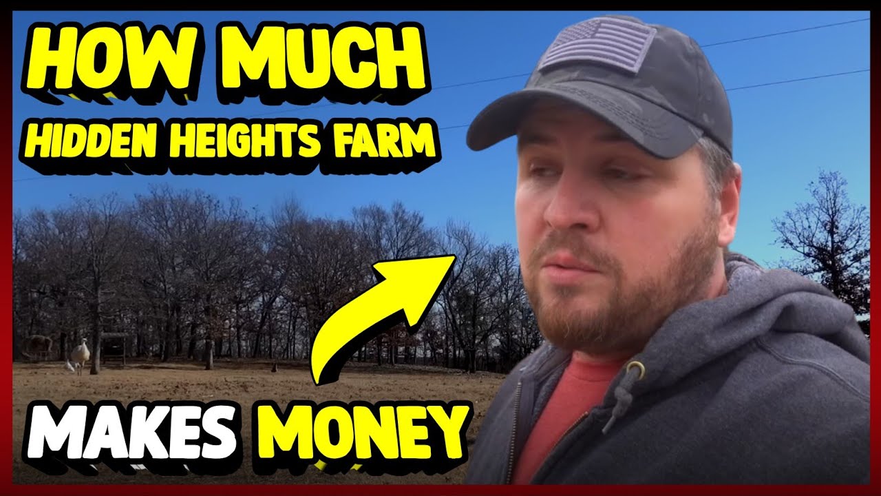 How Much Hidden Heights Farm Makes Money On YouTube 2024 - YouTube