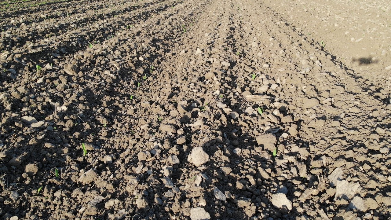 20200602 - Justin - Wacker - Field Flyover - YouTube