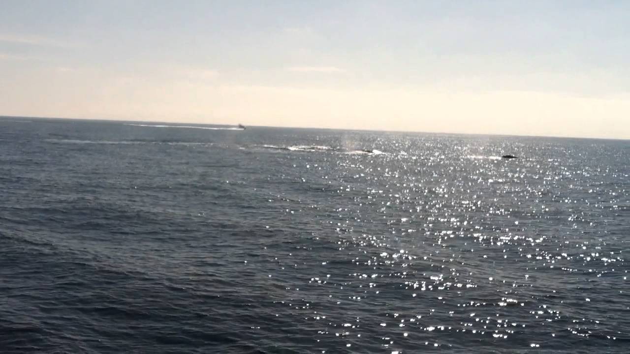 Riptide Music Video - YouTube