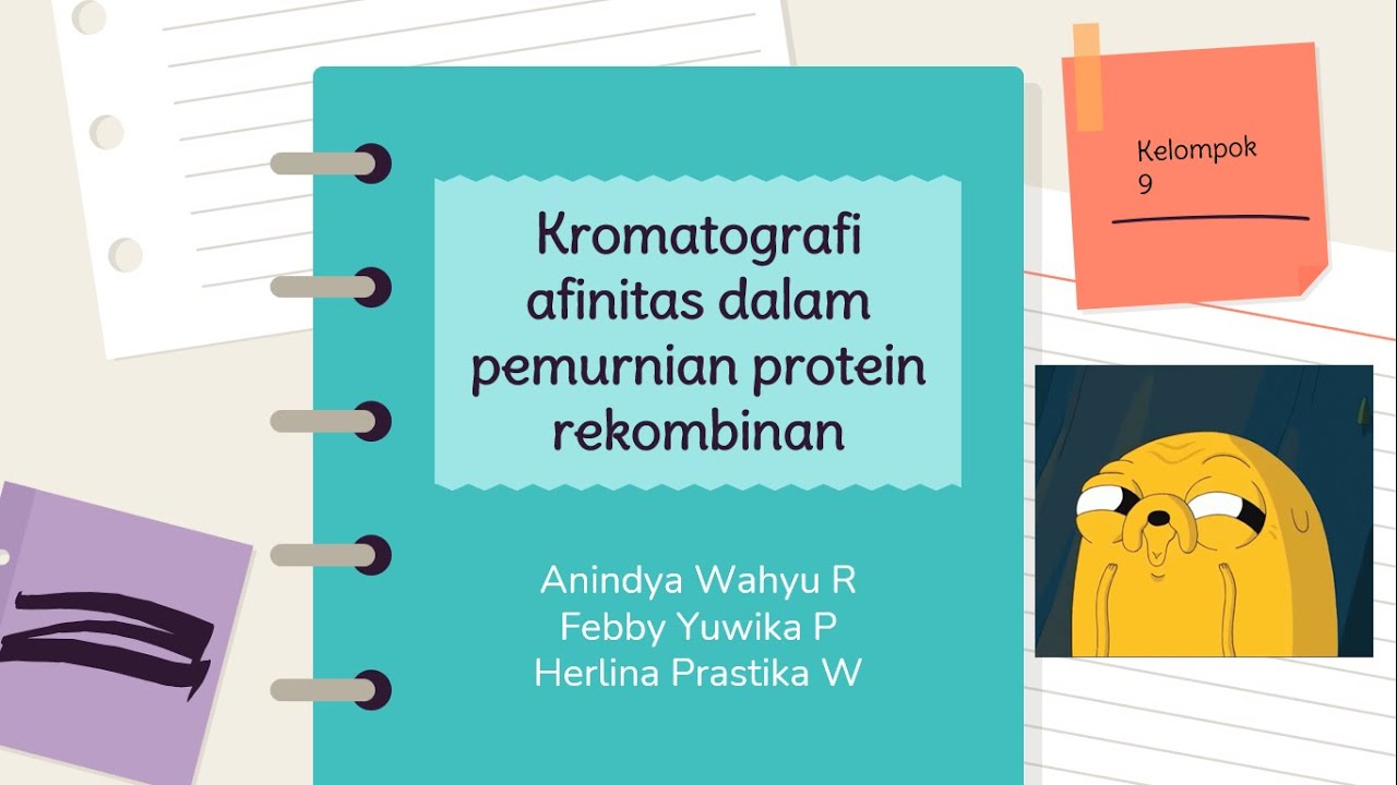 KROMATOGRAFI AFINITAS DALAM PEMURNIAN PROTEIN REKOMBINAN - YouTube