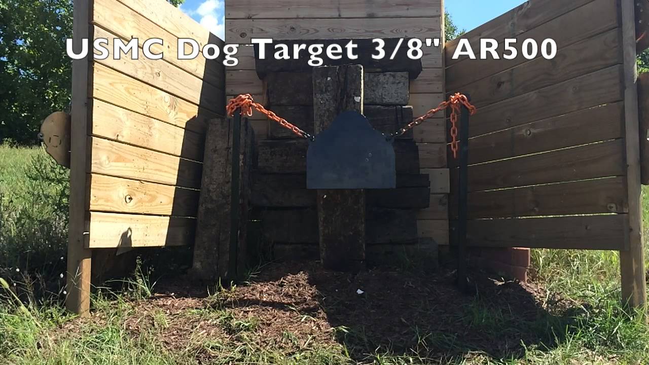 B+ Dog Target USMC - YouTube