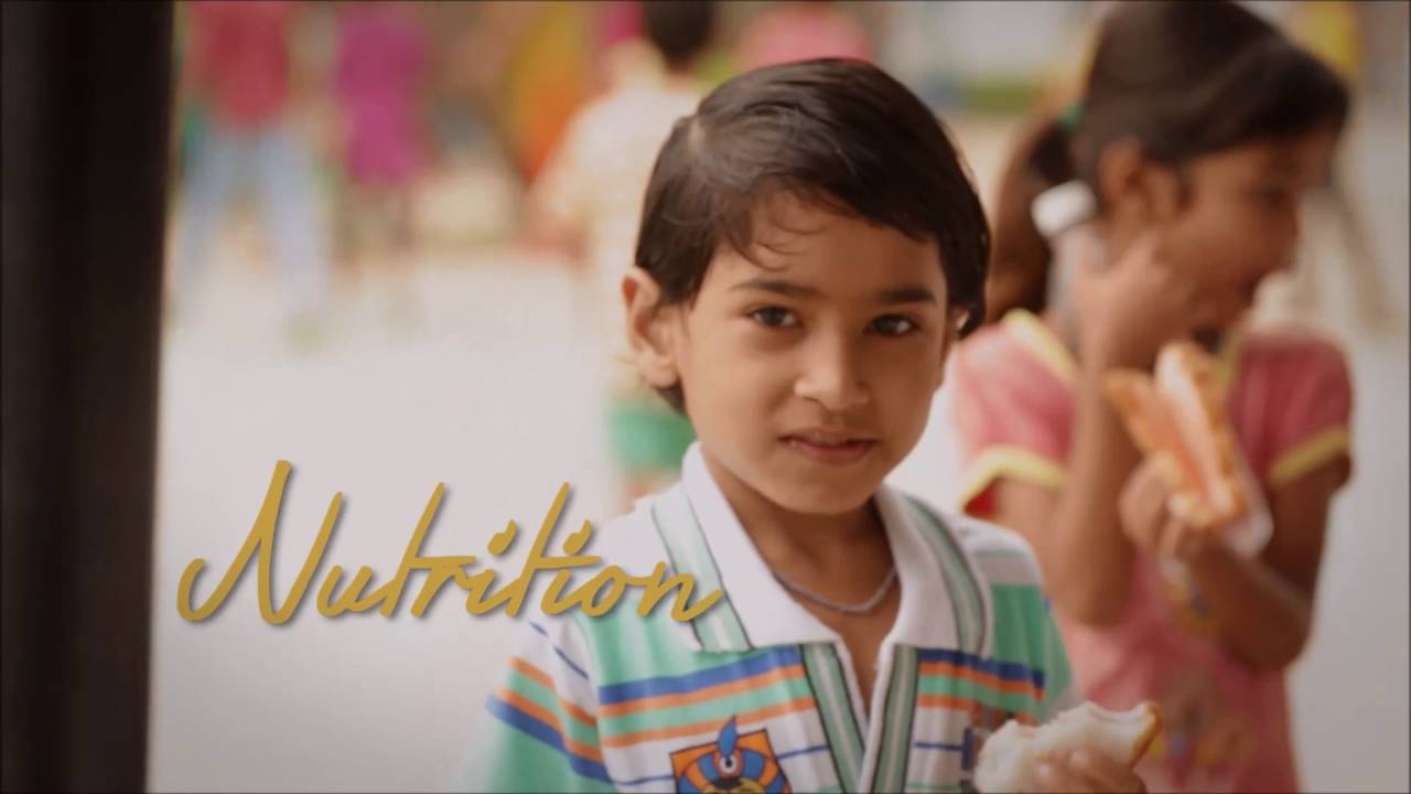 Lotus Petal Foundation - YouTube