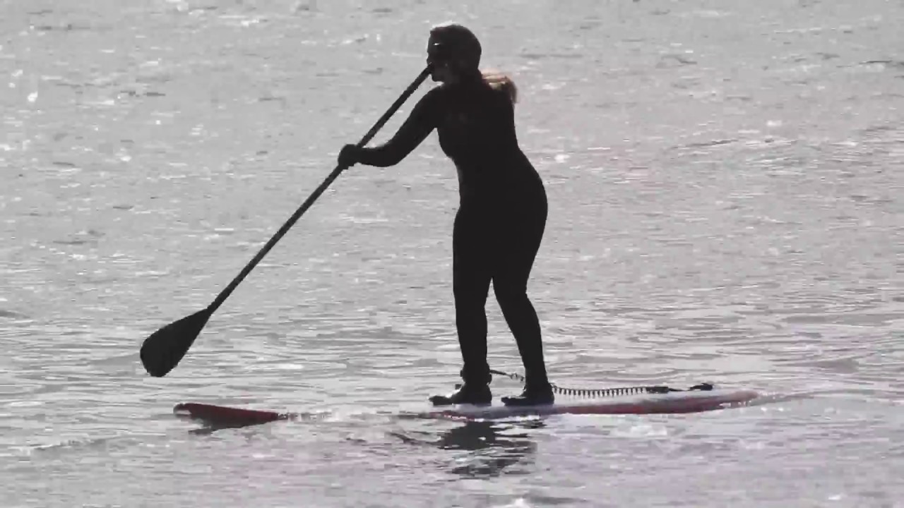 Nikon P900 - Zoom test at the Beach - YouTube