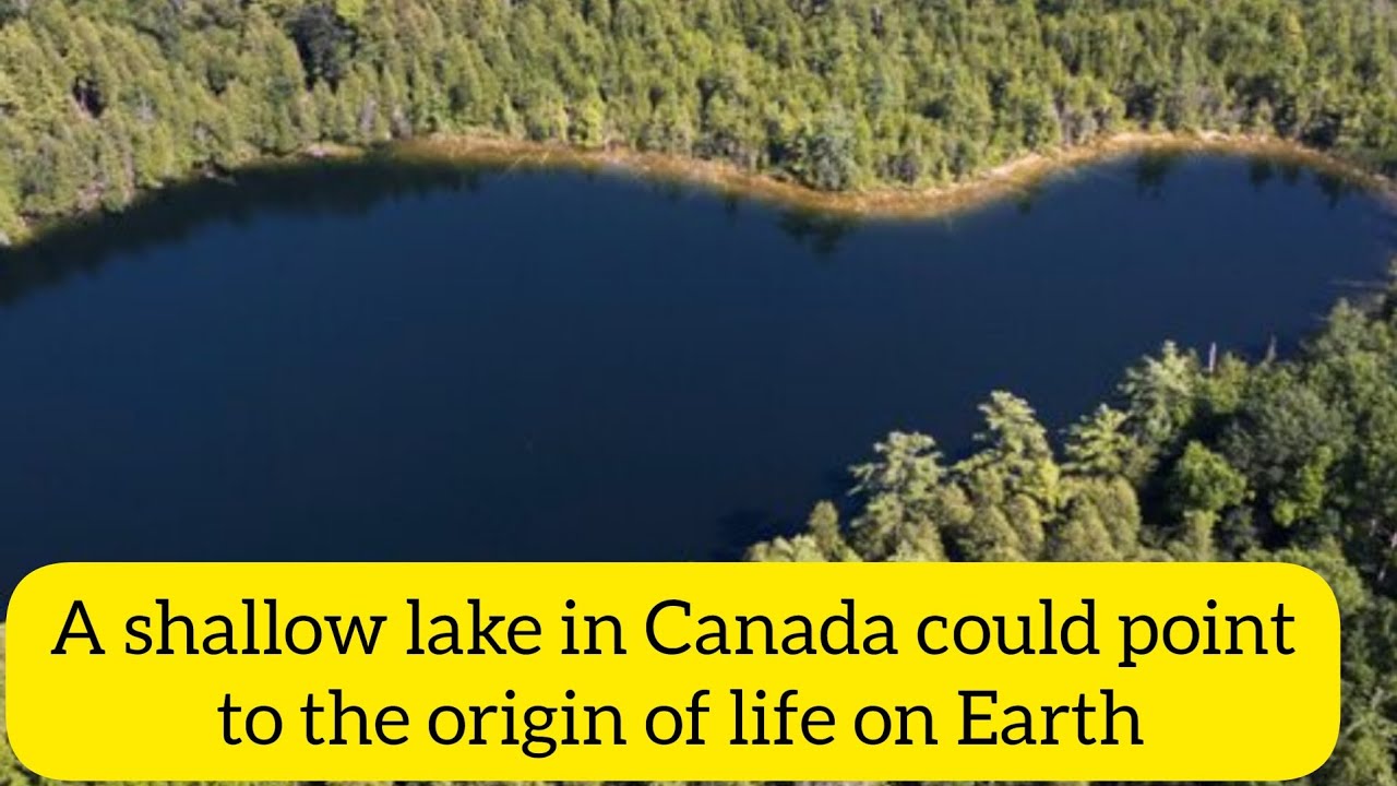 A shallow lake in Canada could point to the origin of life on Earth ...