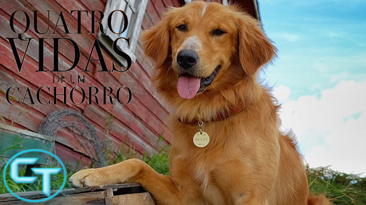 Quatro Vidas de um Cachorro | Trailer Oficial HD | Legendado - YouTube