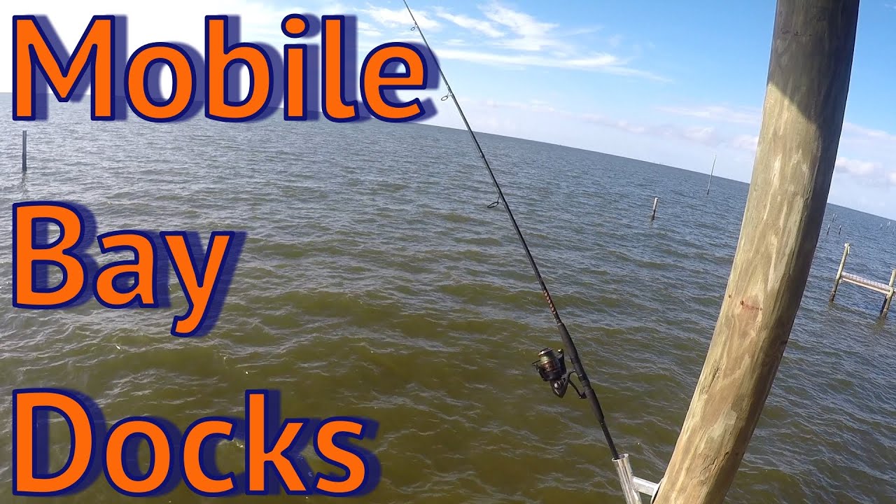 What can I catch from the docks of Mobile Bay? - YouTube