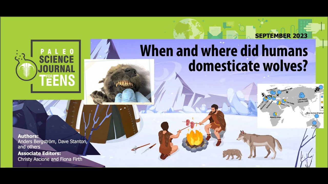E100: When and where did humans domesticate wolves? [SJK Audio Edition ...