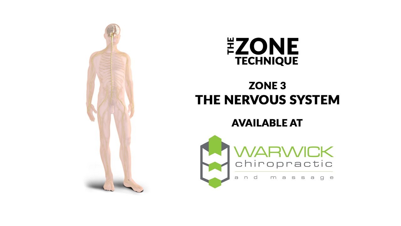 Zone 3 - The Nervous System Zone Explained | Zone Technique Warwick ...