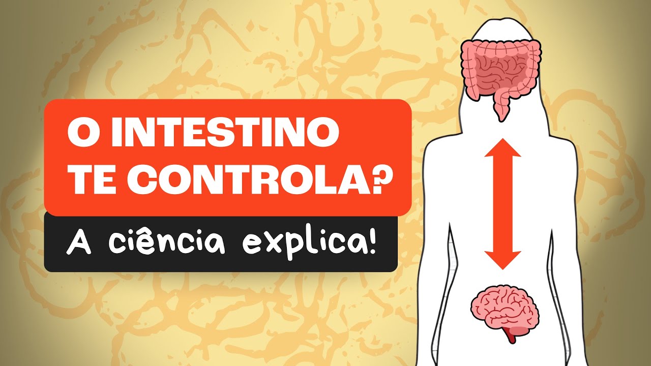 Intestino Grosso E Delgado Humano Fisiologia Geral: Digestão E