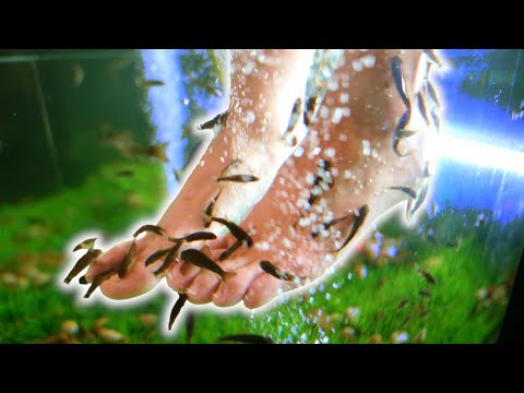 Fish Feasting on Woman's Feet 👣 Chill Deep Fish Pedicure Mix