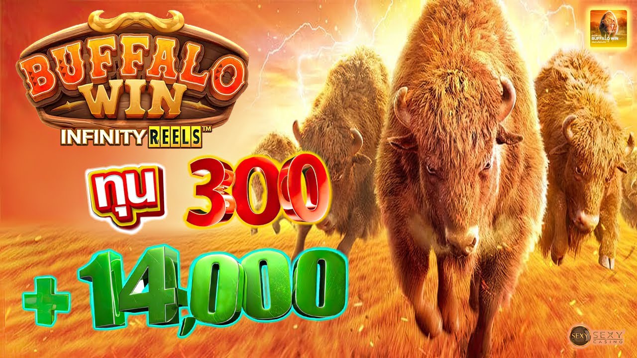 สูตร ทุนน้อย 300 บาท แตกง่าย แตกบ่อย แตกหนัก เล่น BUFFALO WIN ล่าสุด PG พีจี สล็อตเว็บตรง - YouTube