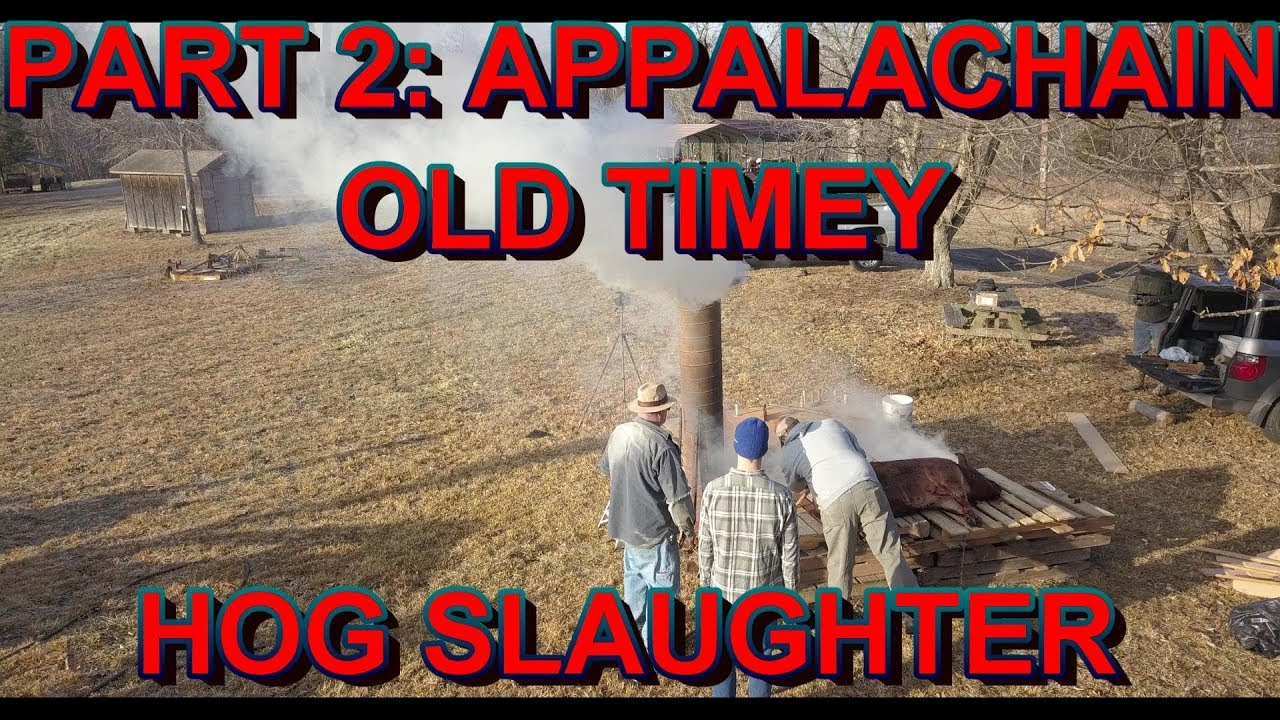DAY 2: Appalachian Heritage Old Timey Hog Killing...Quartering and ...