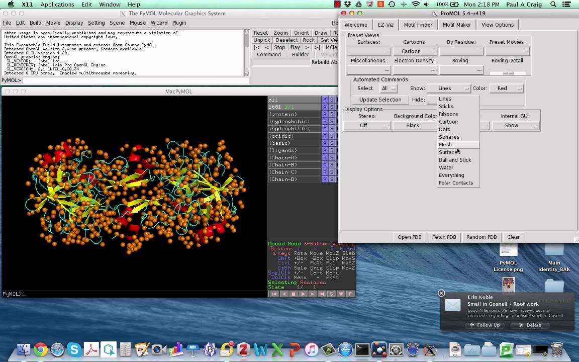 Introduction to ProMOL - YouTube