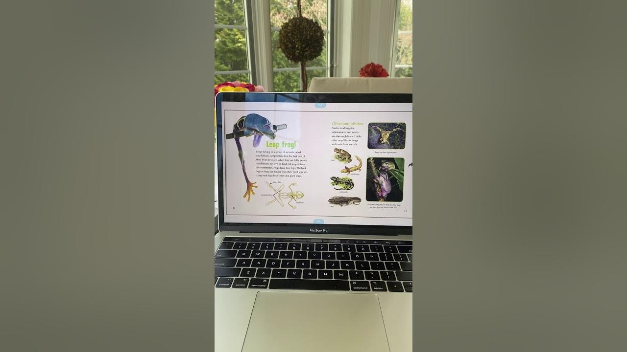 Read Aloud: What is a Vertebrate (1) - YouTube