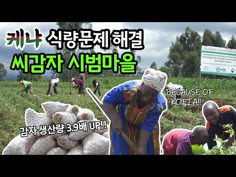 KOPIA 덕분입니다! | Thanks to Kopia | 케냐 씨감자 프로젝트