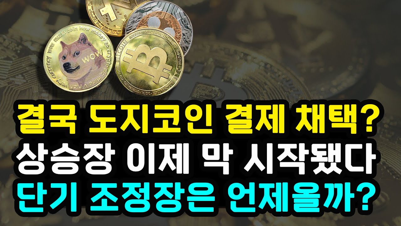 도지코인 비트코인 중장기적 상승 발판 마련했다 10만 달러 돌파는 언제 이루어질까 랠리 이제 시작이다 리플 이더리움 솔라나