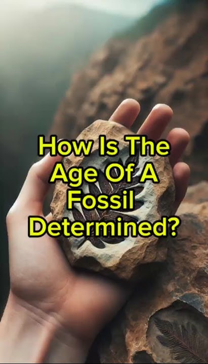How Scientists Determine the Age of Fossils | Science Behind Dating Fossils - YouTube
