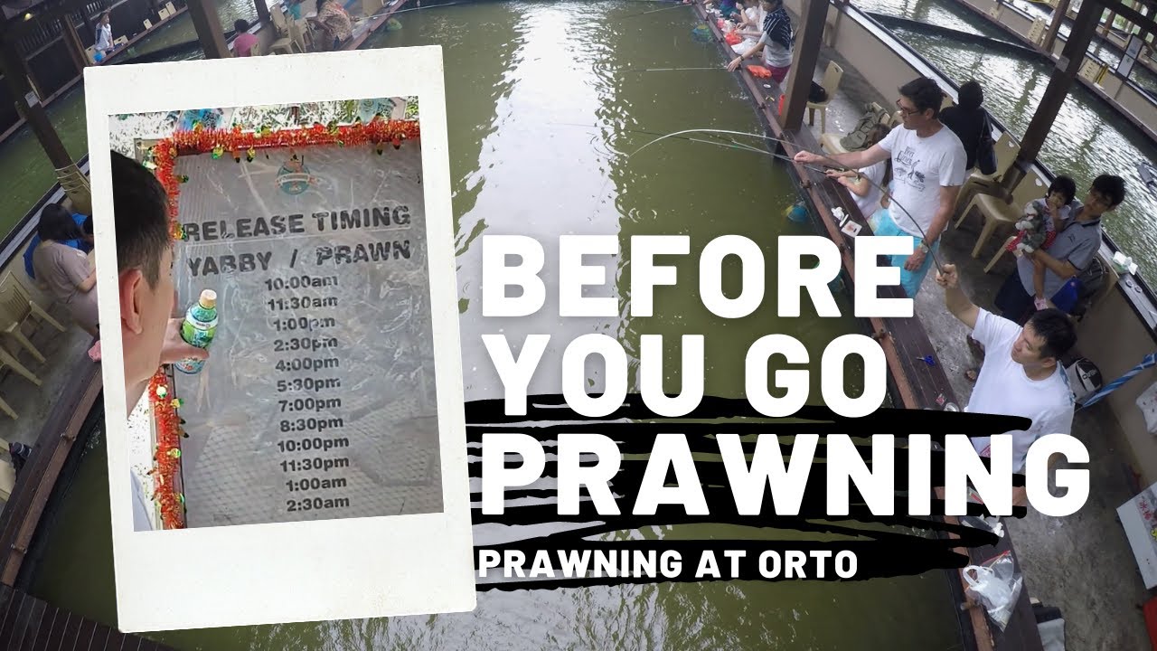 Singapore Prawning - "Before you go prawning" tips. - YouTube