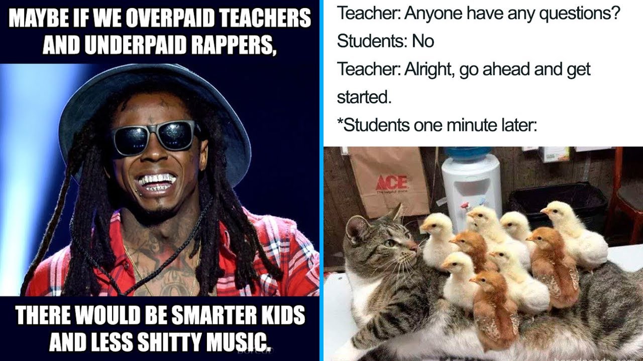 The Best Teacher Memes That Will Make You Laugh While Teachers Cry ...
