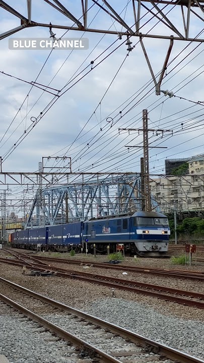 (貨物列車) 2024/05/25 2058レ EF210-118 + コキ20B カンガルーライナーSS60 (+83分) (吹田タ〜陸前山王) #Shorts - YouTube