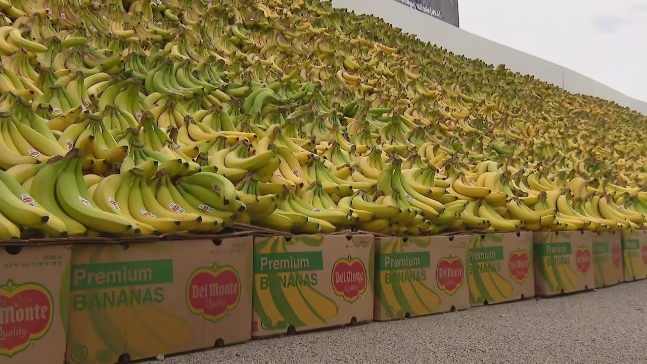 World's largest fruit stand with 70,000 pounds of bananas coming to ...