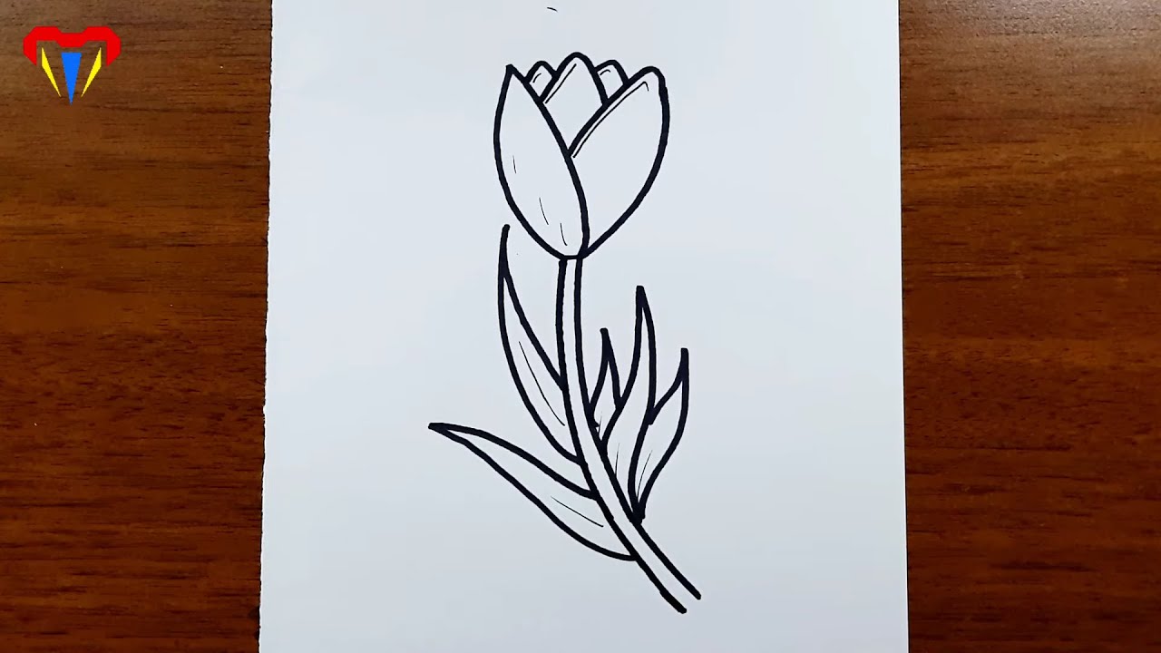 LALE çizimi - kolay ÇİÇEK çizimleri - basit, güzel, tatlı, sevimli ...