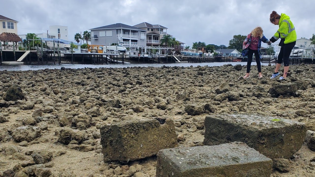 Hurricane Ian / Hudson Beach Florida / Water Got Sucked Away! - YouTube