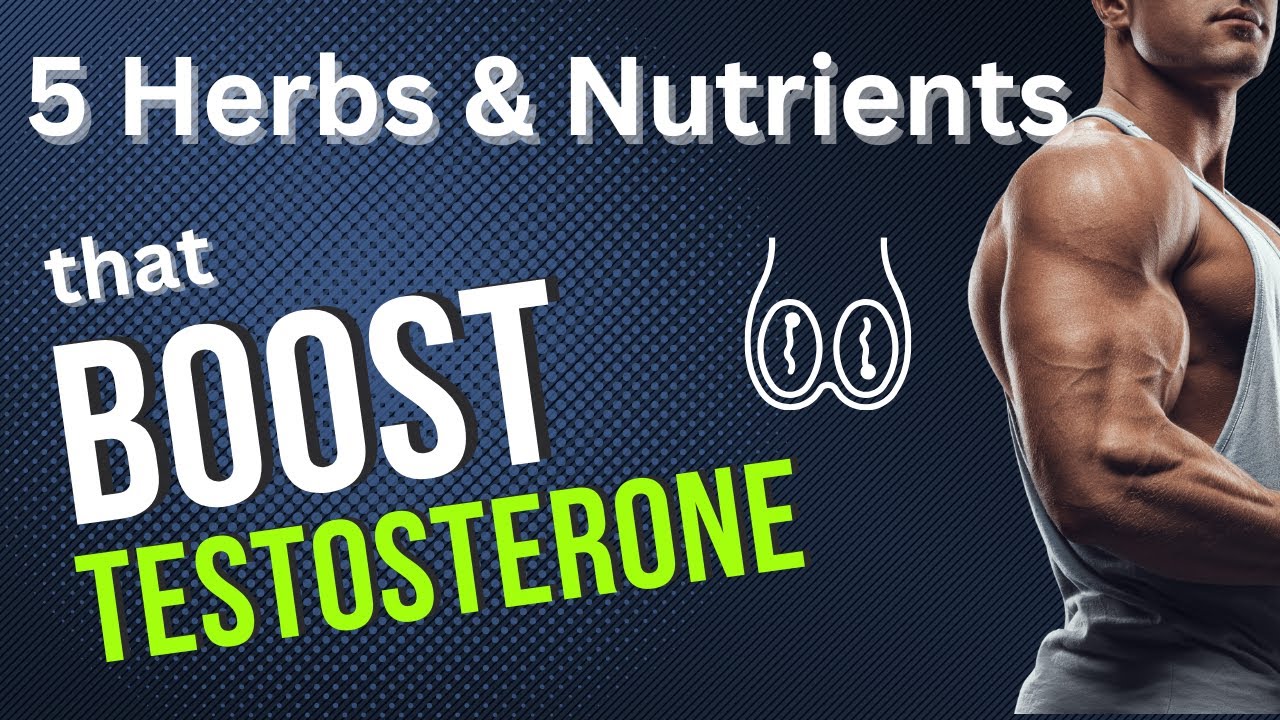 5 BEST herbs and nutrients to BOOST and increase your Testosterone ...