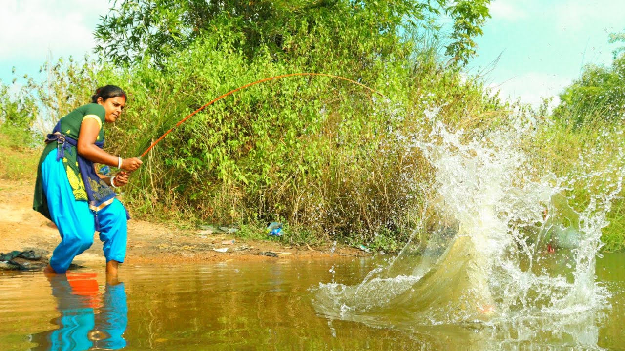 Fishing Video 🎣| the lady catching big fish using food in our village ...