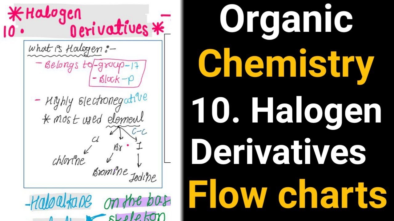 Flow chart {Notes} chapter 10 Halogen derivatives organic chemistry ...