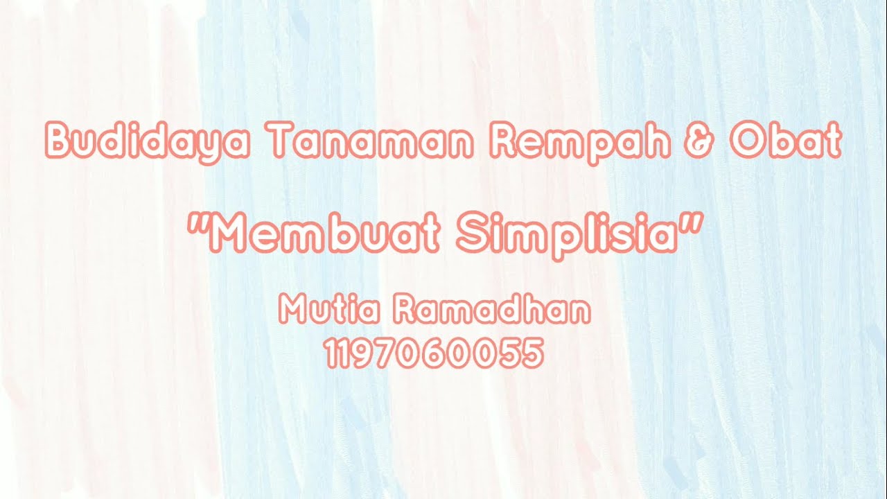 Pembuatan Simplisia Rimpang Kunyit dan Daun Salam - YouTube