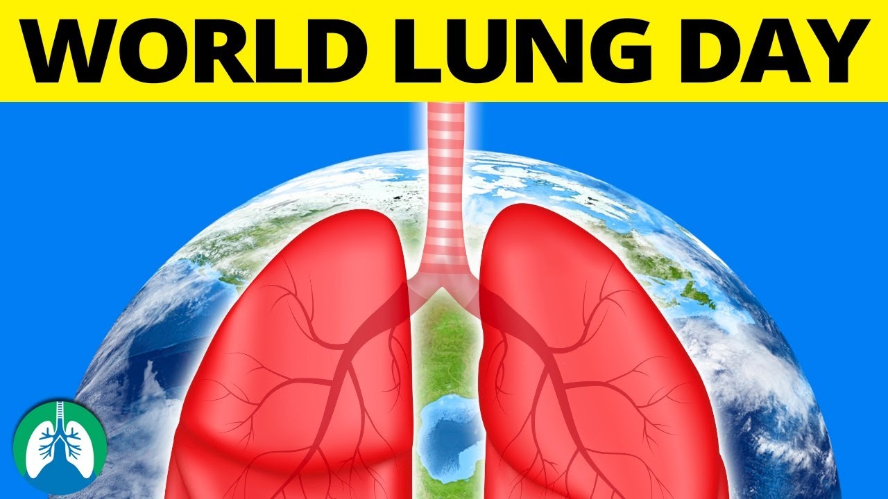 World Lung Day 🫁 | September 25th 🌎 - YouTube