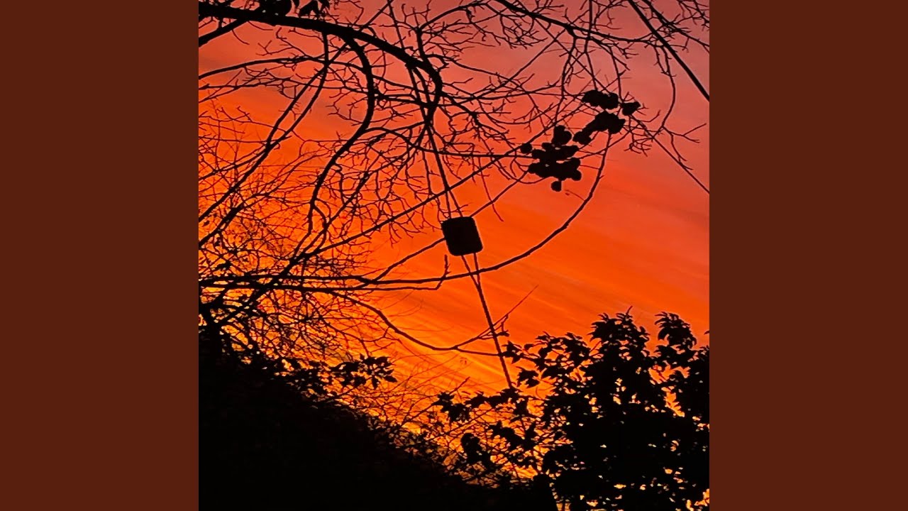 Crawling On The Ceiling - YouTube