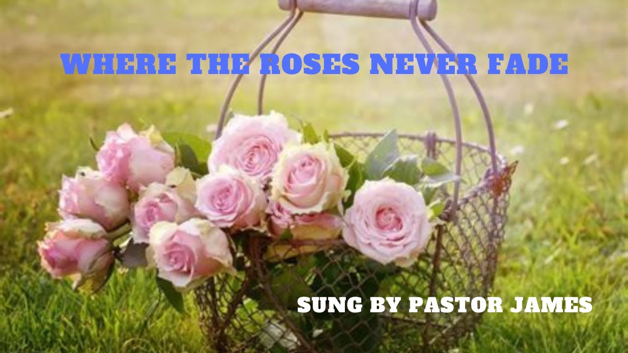 Where the Roses Never Fade - YouTube
