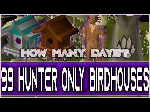 99 Hunter Only Bird Houses | How long will it take?