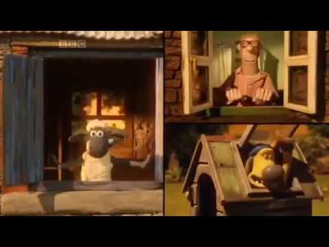 Show Carneiro - YouTube