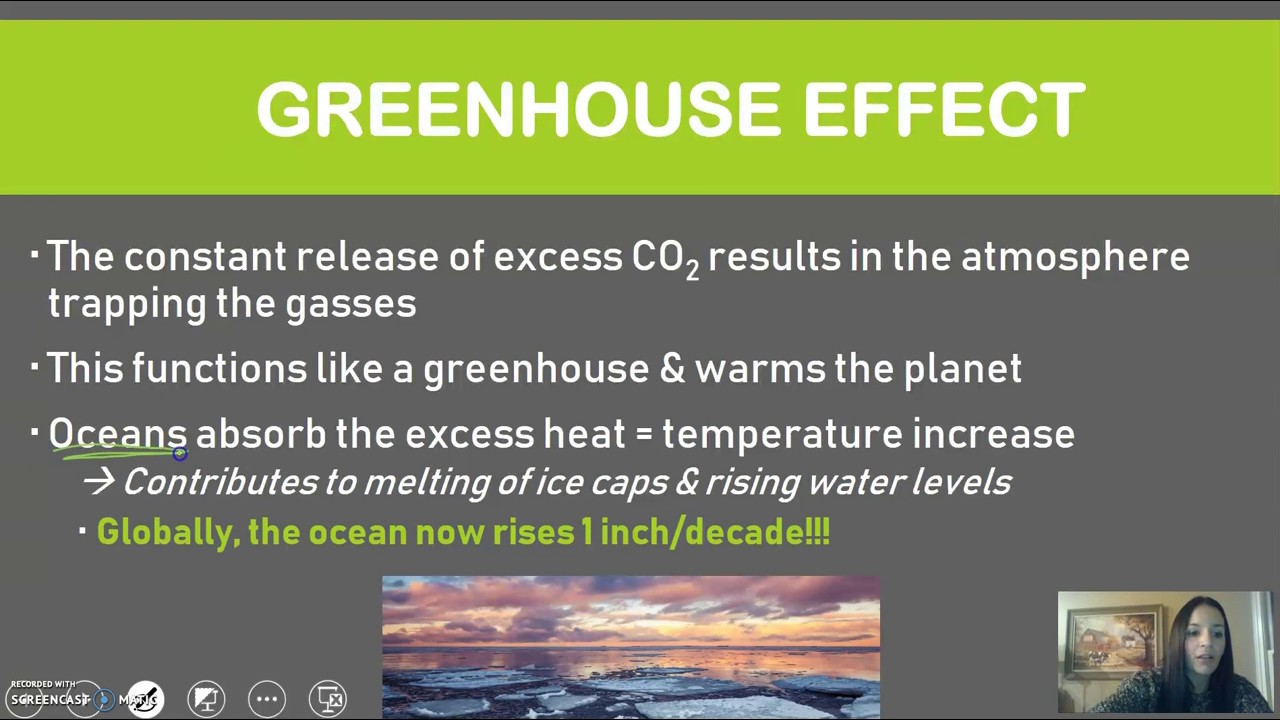 Bio - Ecology #2 (updated) - YouTube