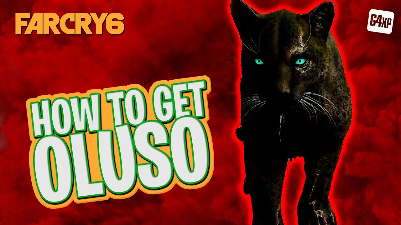 Far Cry 6 | Quick Tips | HOW TO GET OLUSO - YouTube