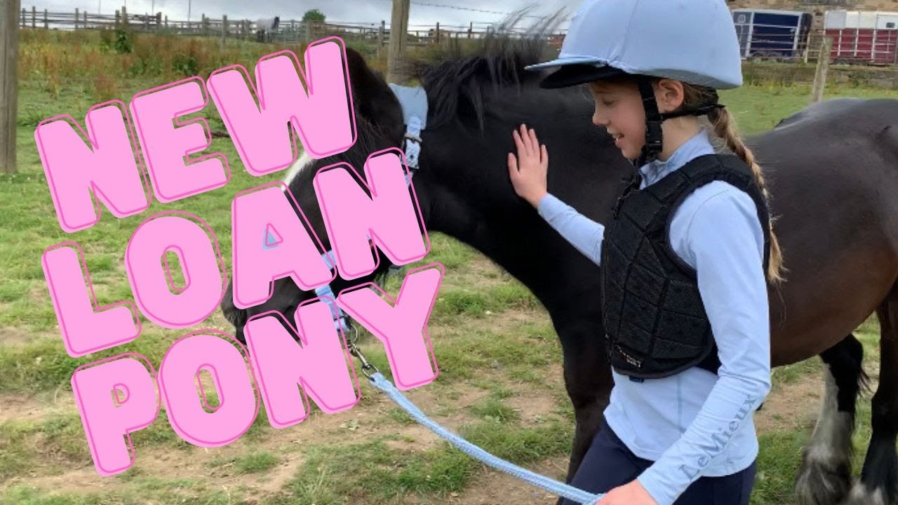 MY NEW LOAN PONY - YouTube