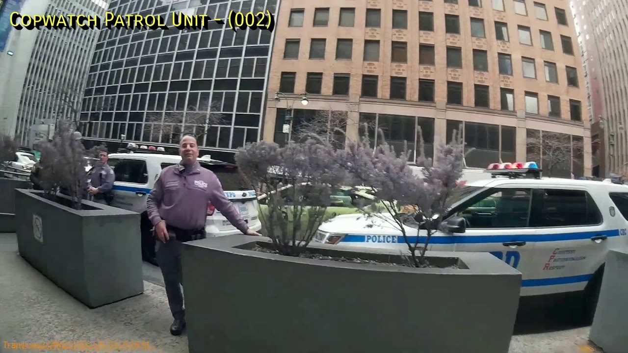 NYPD Critical Response Command Unit (CRC) Officer Admits To Violating ...