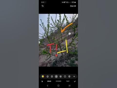 How to Send and Edit Photos on Telegram: File and Photo Modes Explained - YouTube