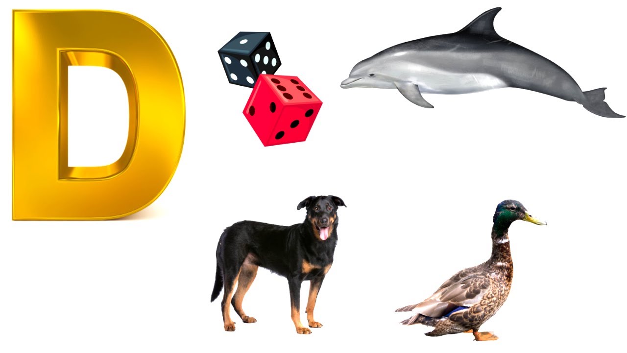 D for Dog, D for Dolphin, D for Dress, D for Dice, Kidskkkworld, - YouTube